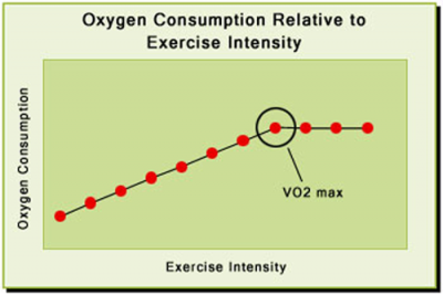 VO2 Max for Runners - Runners Connect