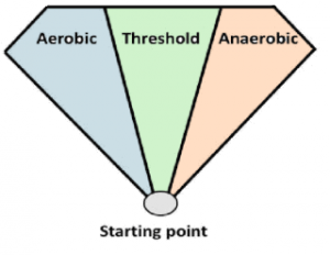 Rethinking the Traditional Training Model - Runners Connect